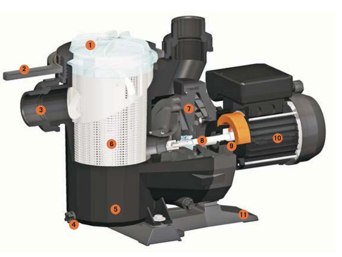 pompe piscine victoria plus